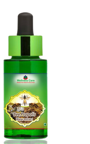 Bee Propolis Water Extra 110ml – Wellness Care